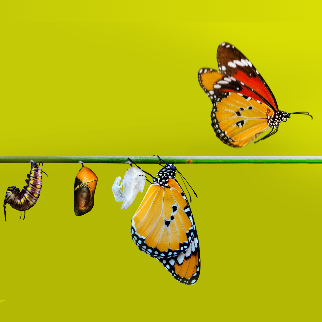 Mission statement | Unity San Francisco